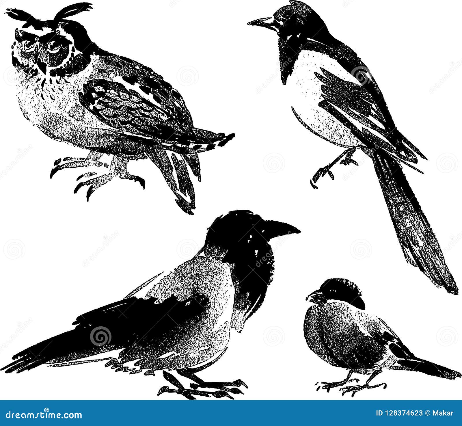 Big Set Of Wild Birds. Cartoon Birds Characters Isolated On White ...