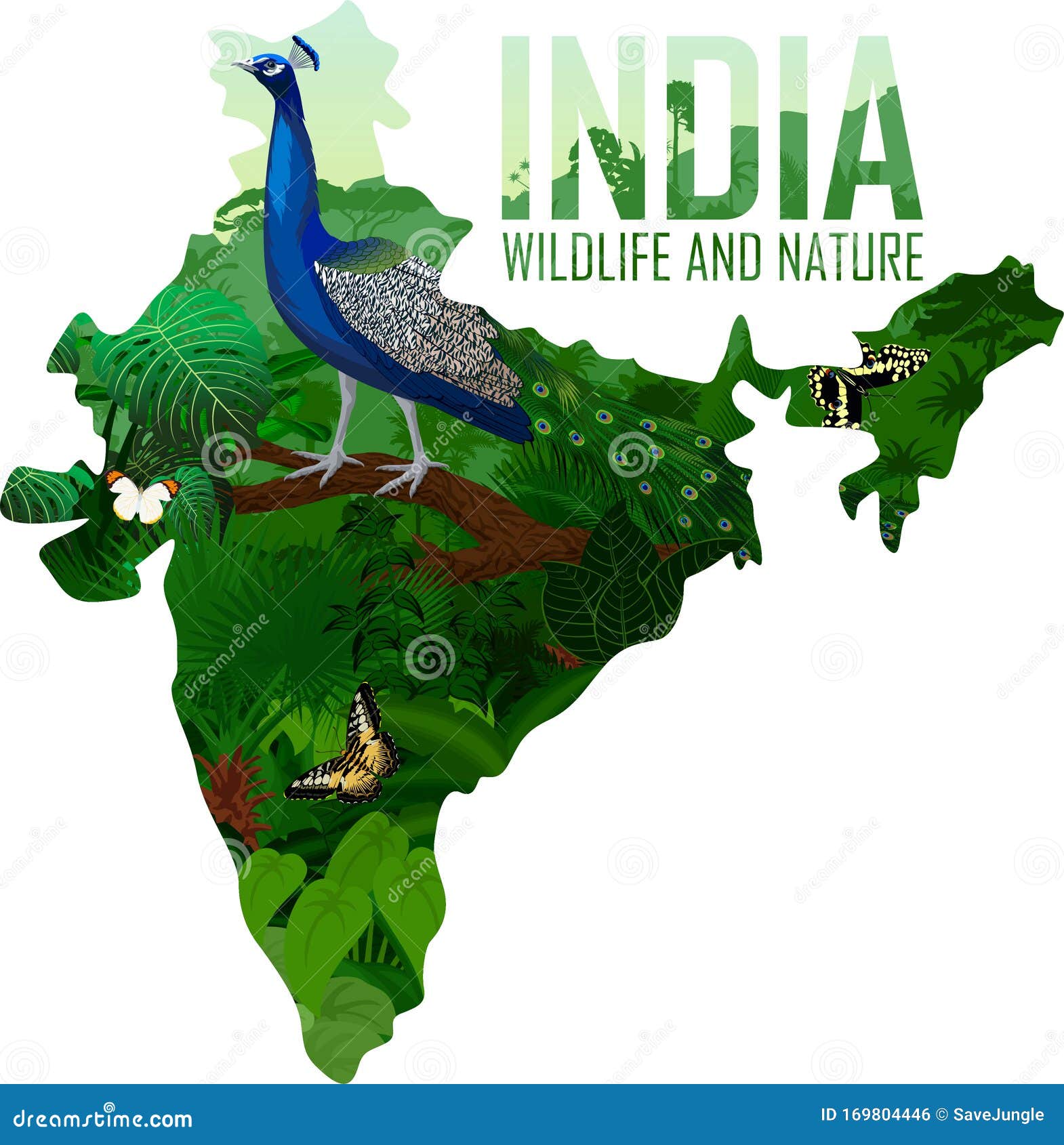 Delhi Map With Forest Background.delhi Map In 2020 Cartoon Vector ...