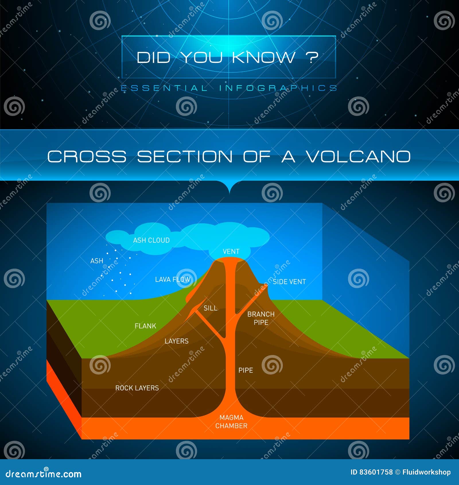 Vector Infographic - Cross Section of Volcano Stock Vector ...