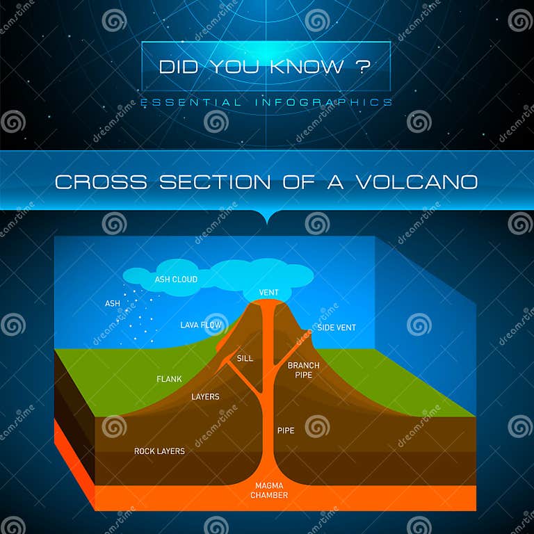 Vector Infographic - Cross Section of Volcano Stock Vector ...