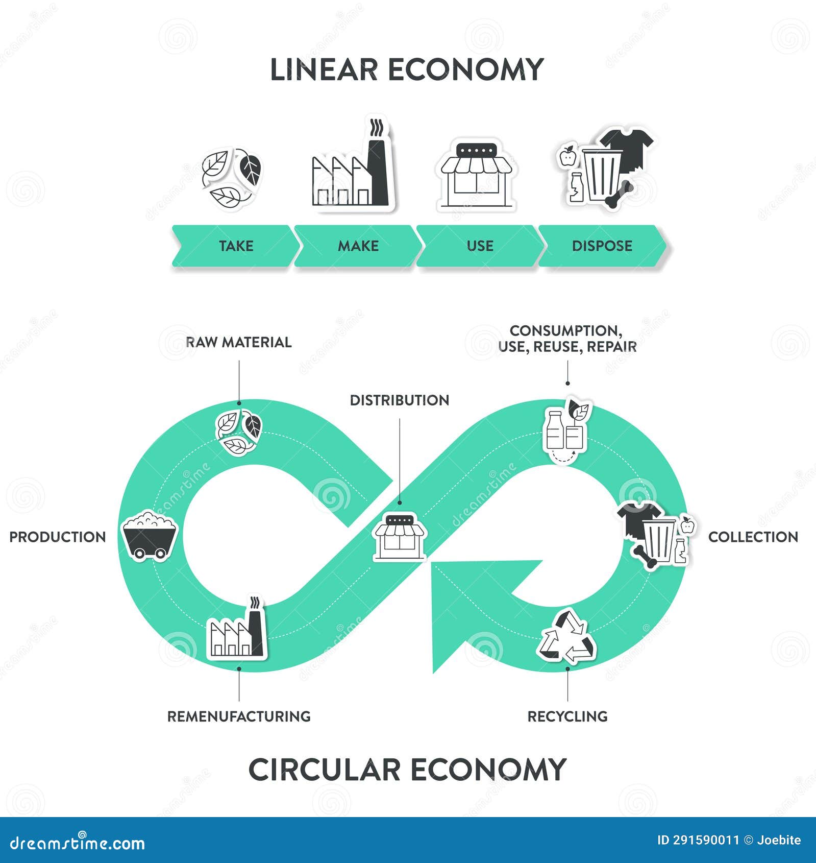 The Vector Infographic Diagram of the Difference between the Circular ...