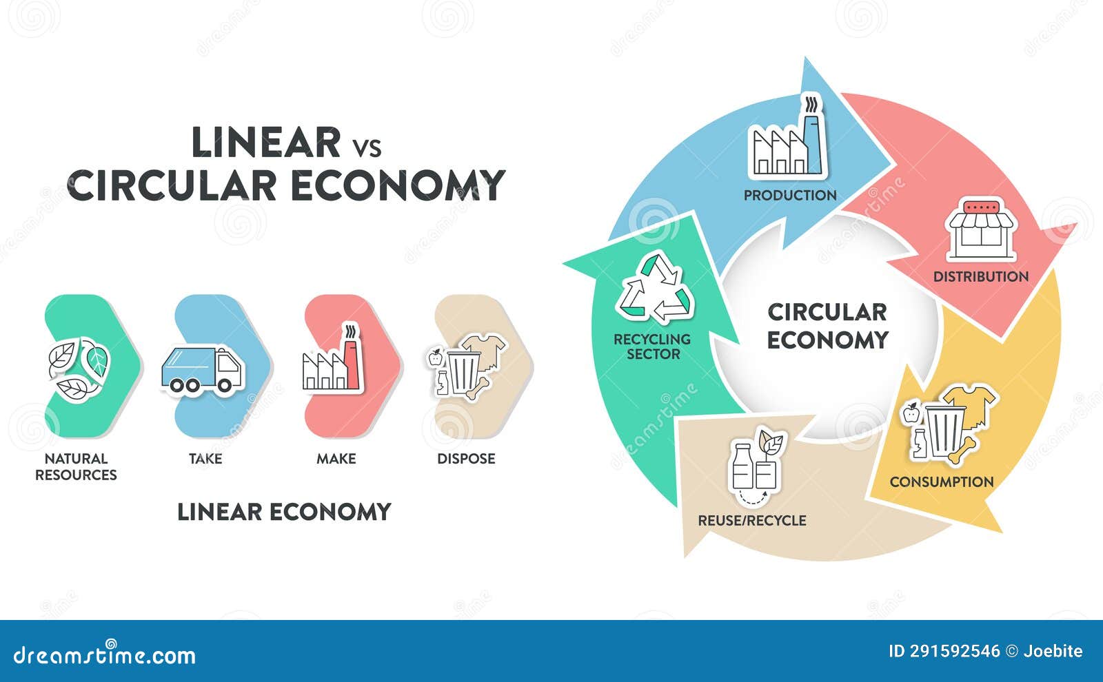 The Vector Infographic Diagram of the Difference between the Circular ...