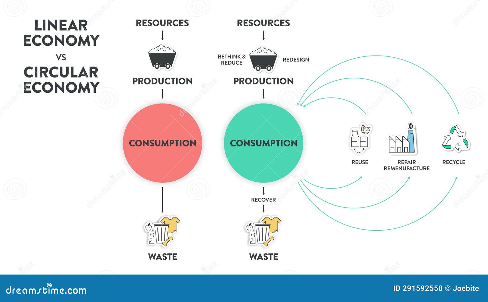 The Vector Infographic Diagram of the Difference between the Circular ...