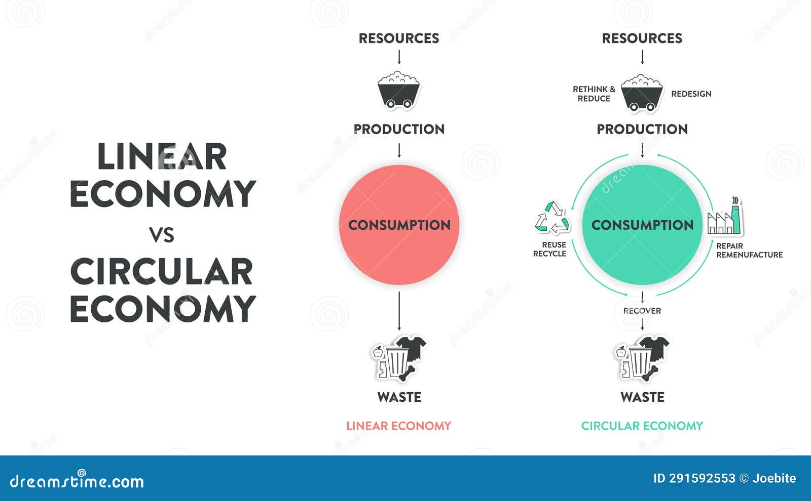 The Vector Infographic Diagram of the Difference between the Circular ...