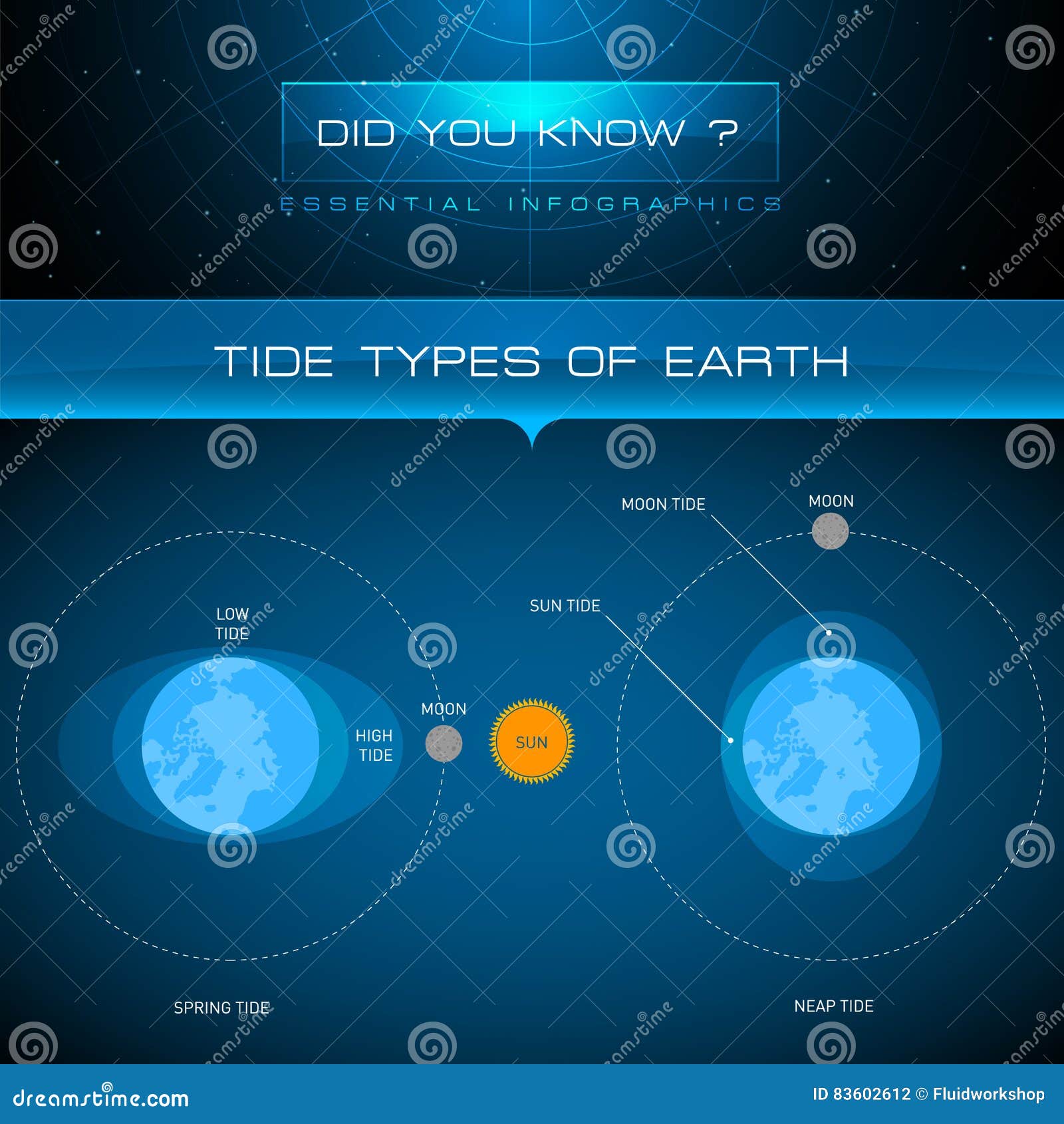 Vector Infographic - Tide Types of Earth Stock Vector - Illustration of ...