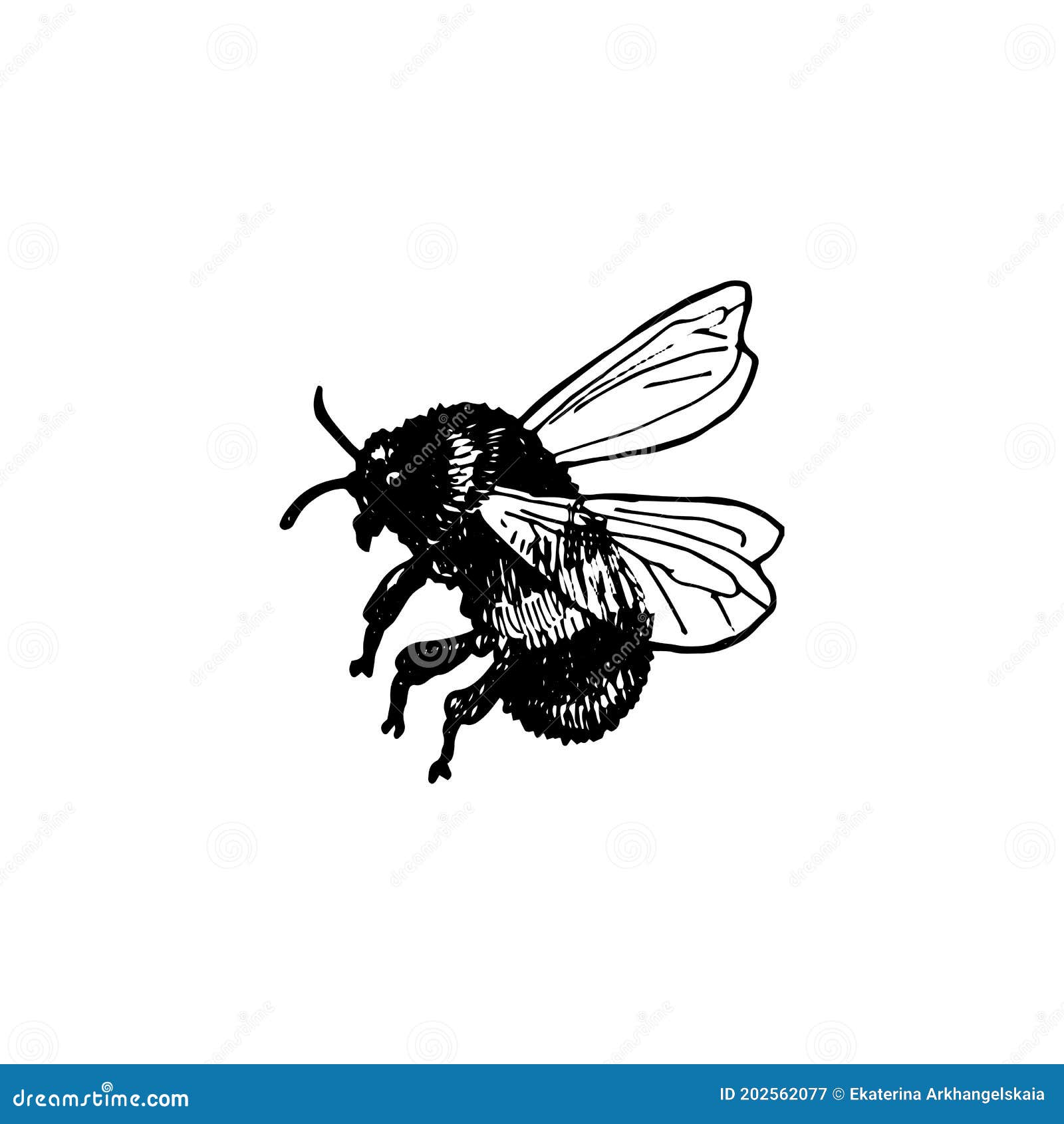 Bumblebee Set. Hand Drawn Vector Illustration. Vector Drawing Of Tree ...