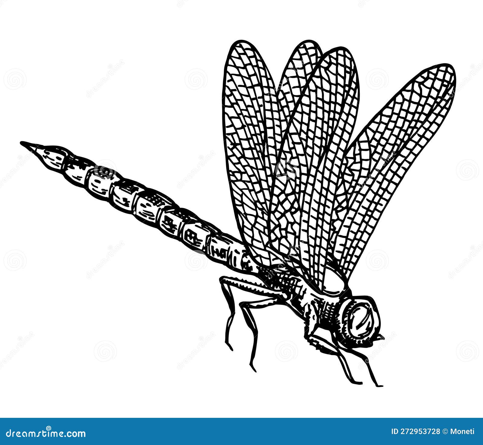 Vector Ink Drawing Dragonfly, Hand Drawn Engraving Illustration. Black ...