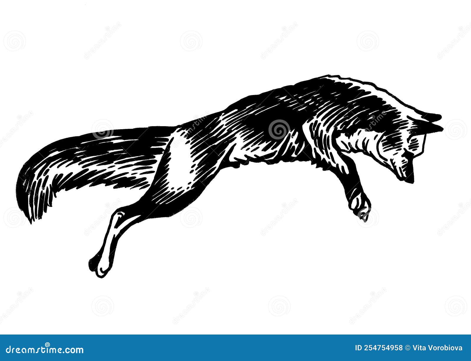 Vector Ink Pen Drawing of Fox Jumping ,graphics Stock Vector ...