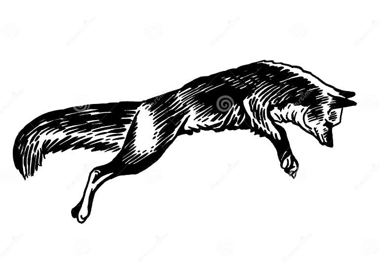 Vector Ink Pen Drawing of Fox Jumping ,graphics Stock Vector ...