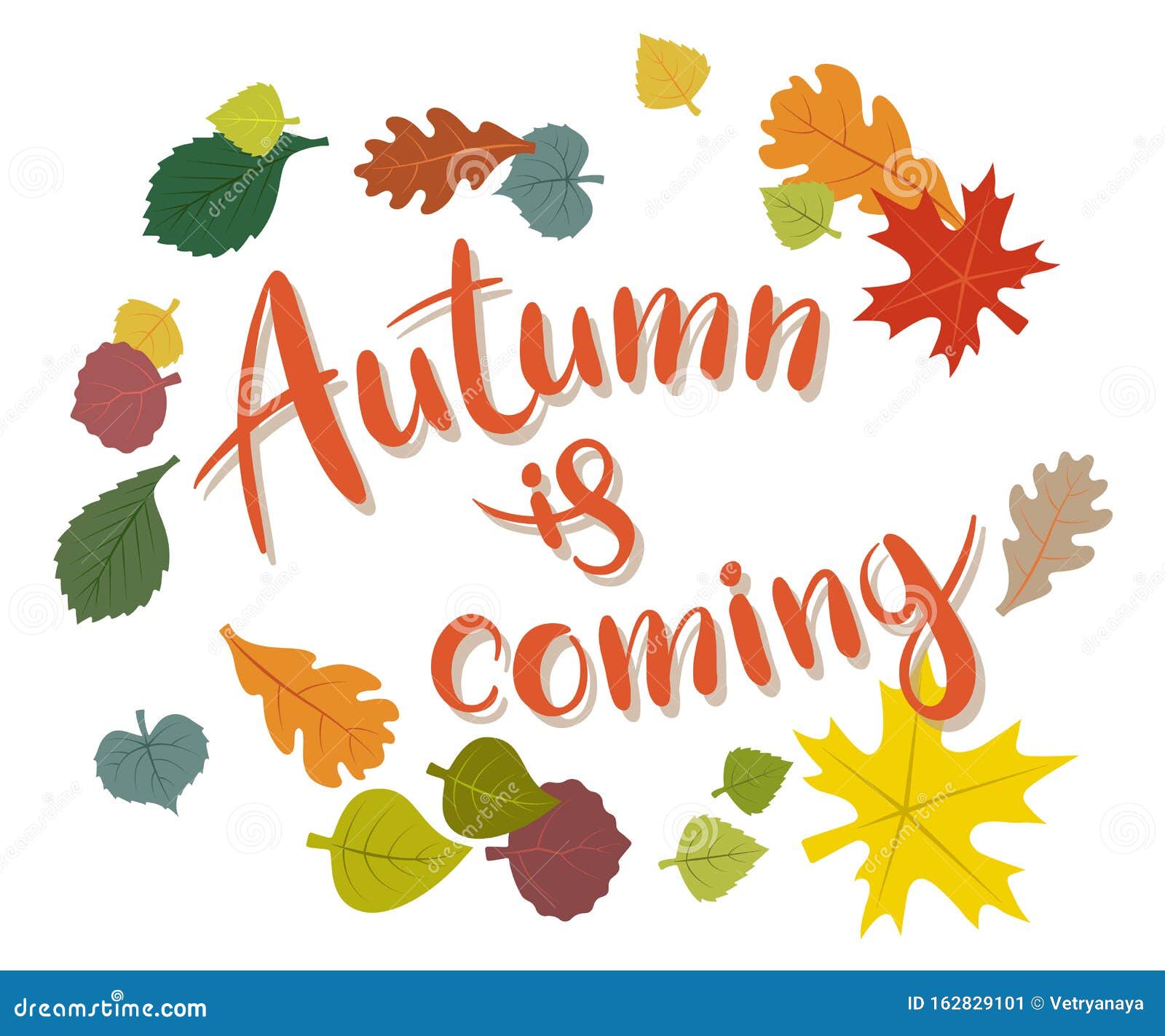 Vector Inscription Autumn is Coming on White Background Stock ...