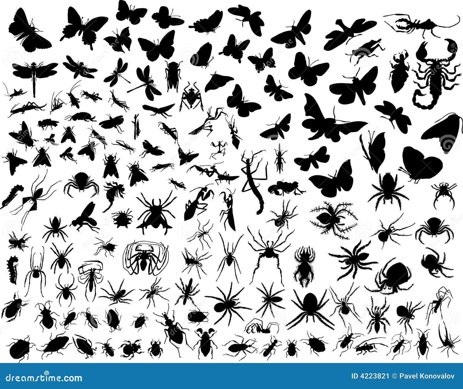 Vector insects stock vector. Illustration of back, leaf - 4223821