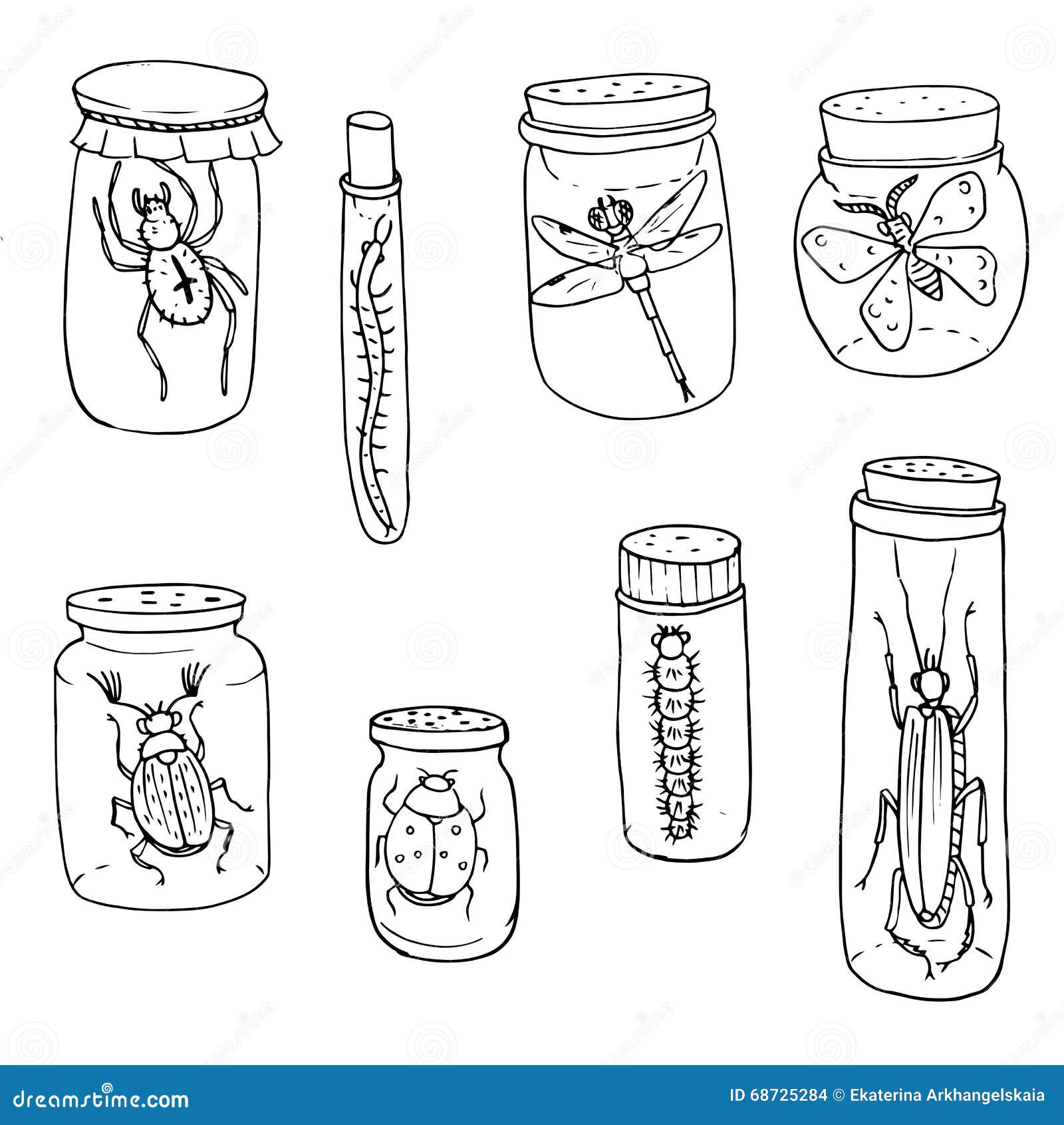 Vector insects in jars stock vector. Illustration of museum - 68725284