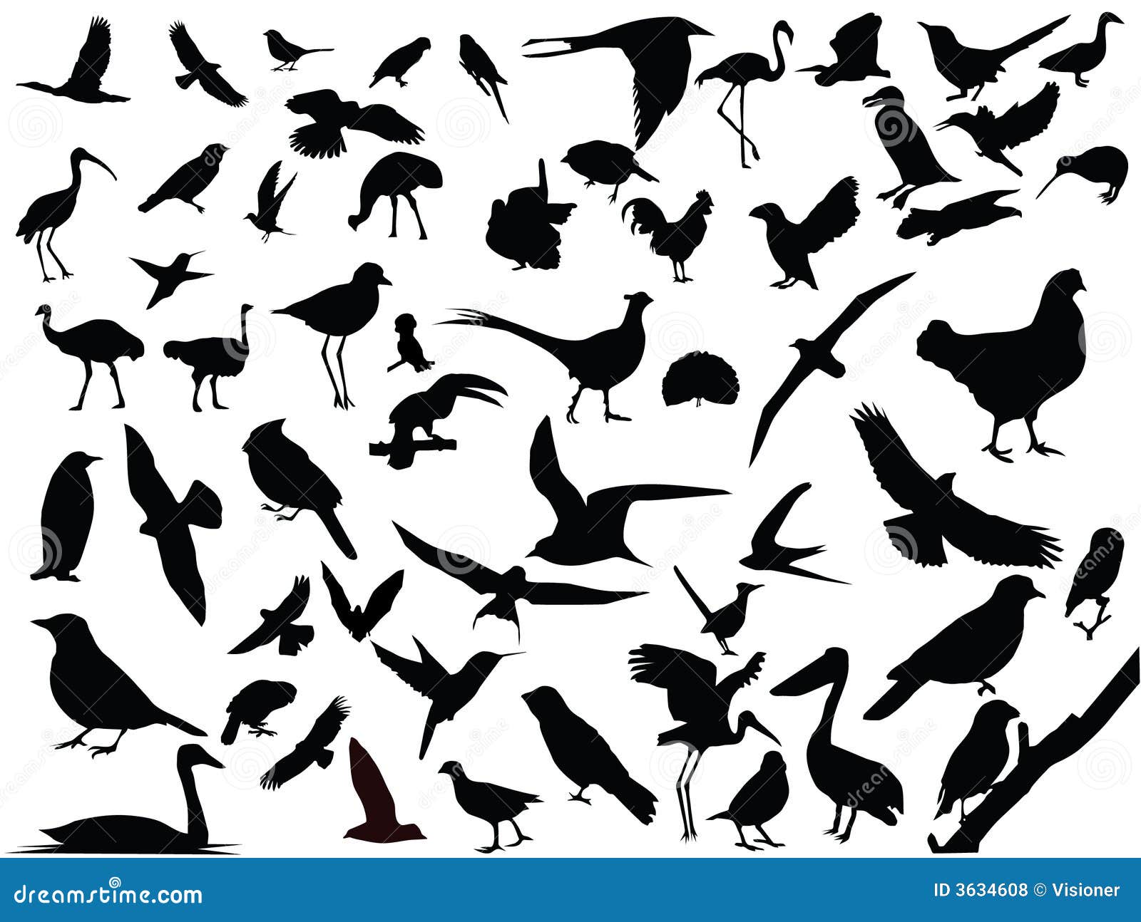 Coot Silhouette Logo Vector Illustration | CartoonDealer.com #233074366