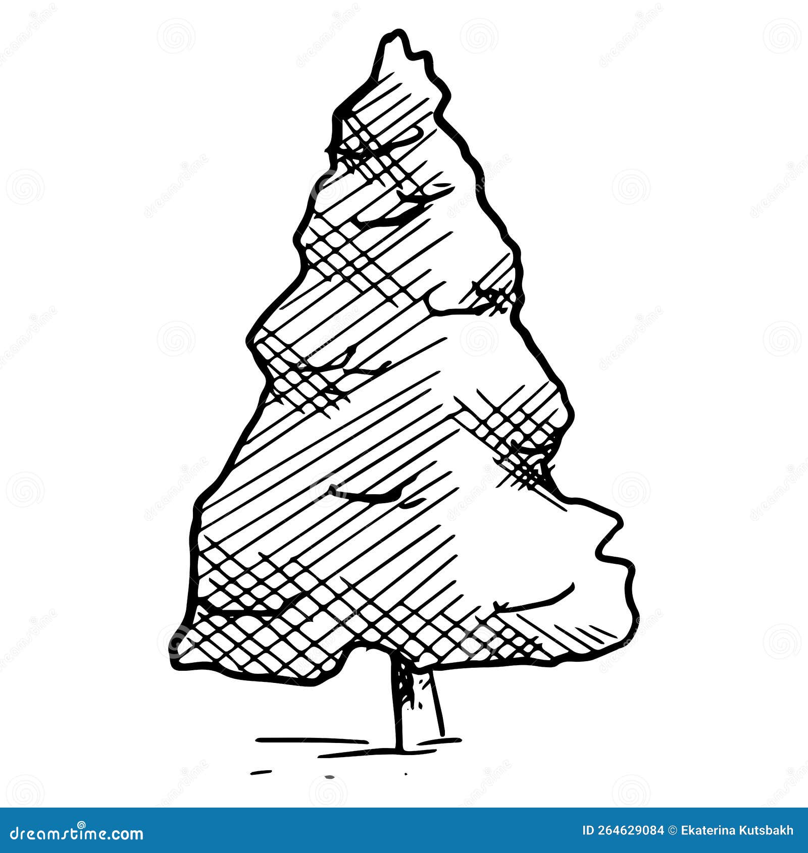 Vector Isolated Black and White Sketch of Spruce Tree. Stock ...