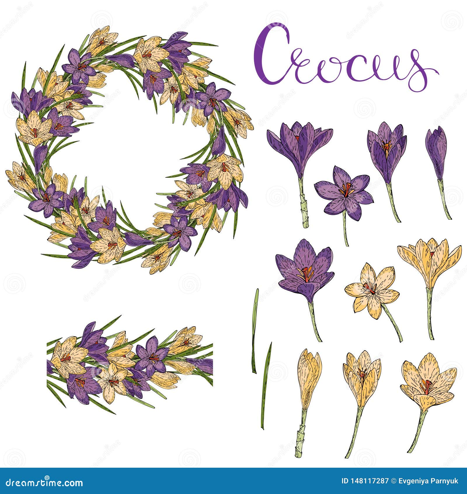 Vector card with crocuses stock vector. Illustration of botany - 148117287