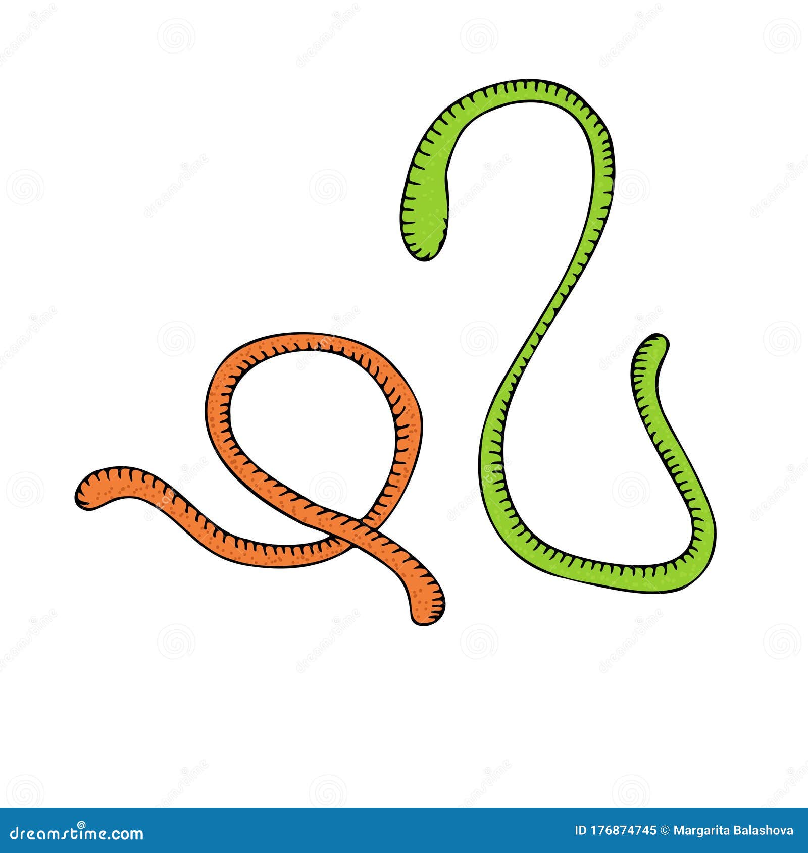 Spirochetes Vector Bacteria Concept Linear Icon Or Sign | CartoonDealer ...
