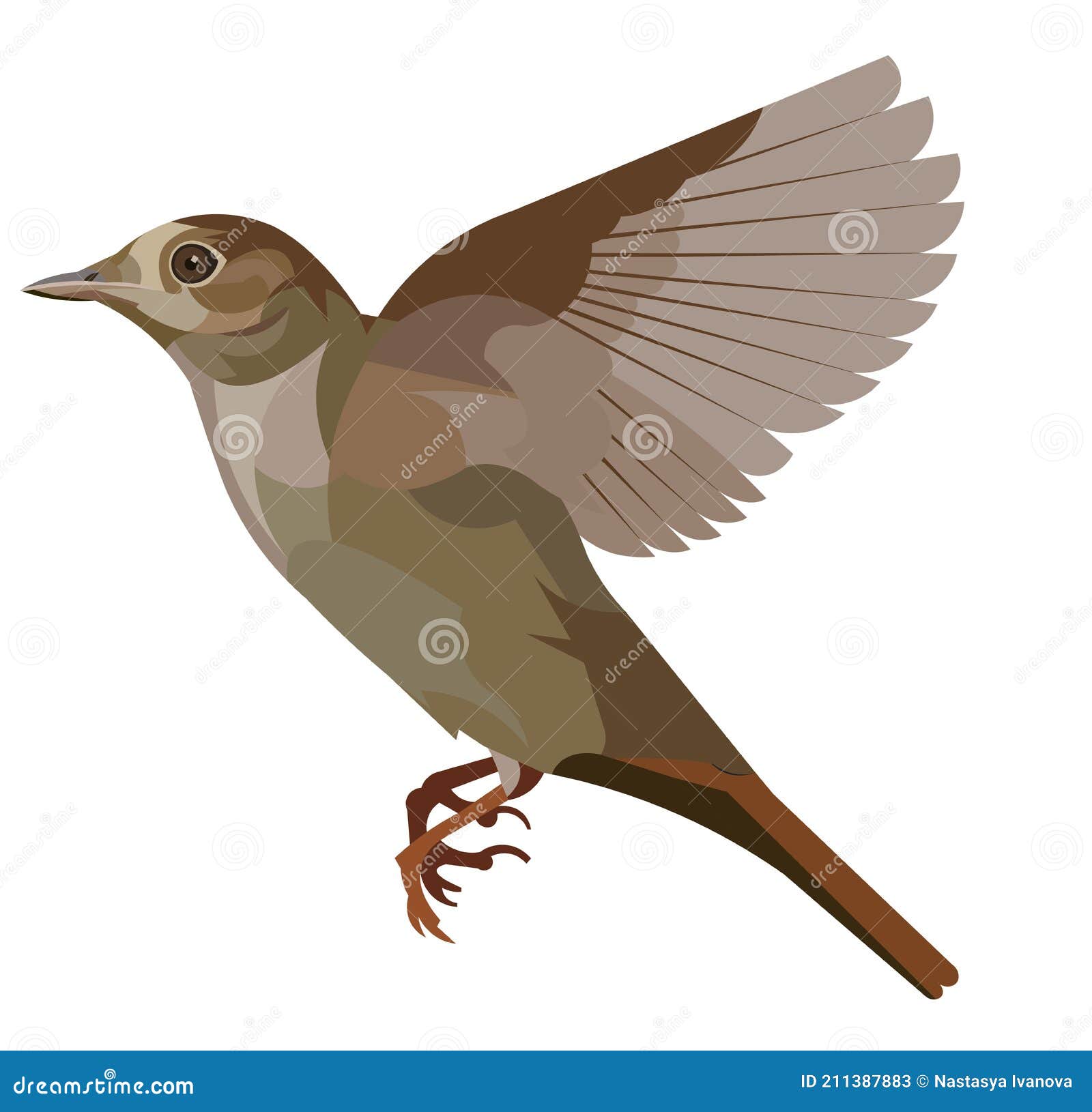 Vector Isolated Figure of a Fluttering Flying Nightingale Stock Vector ...