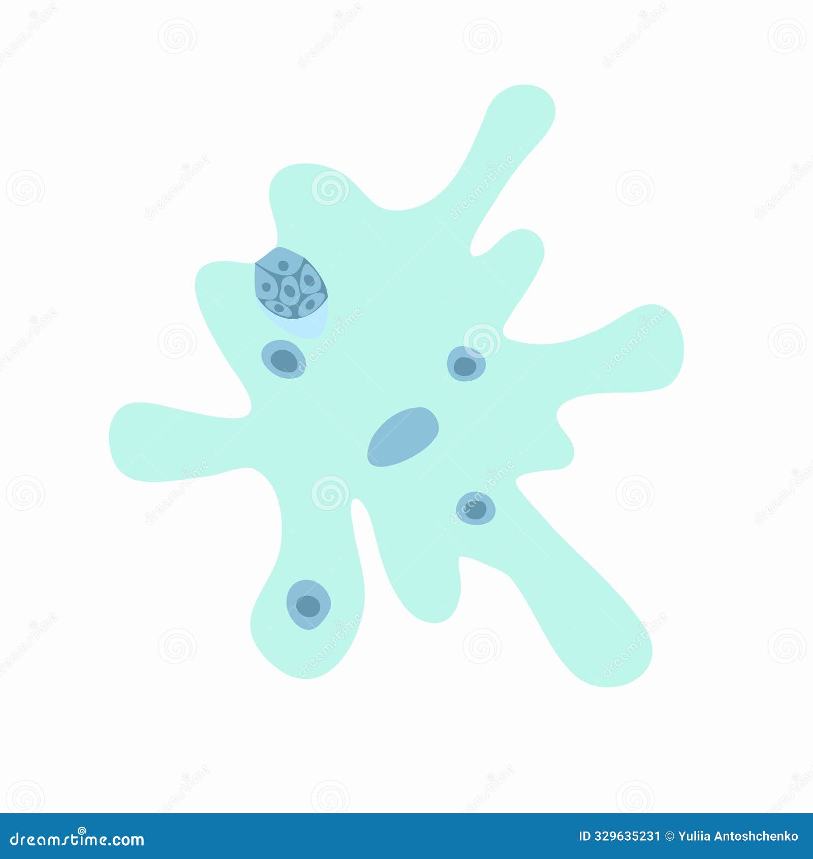 The Structure Of The Amoeba Is Intestinal. Gastrointestinal Amebiasis ...