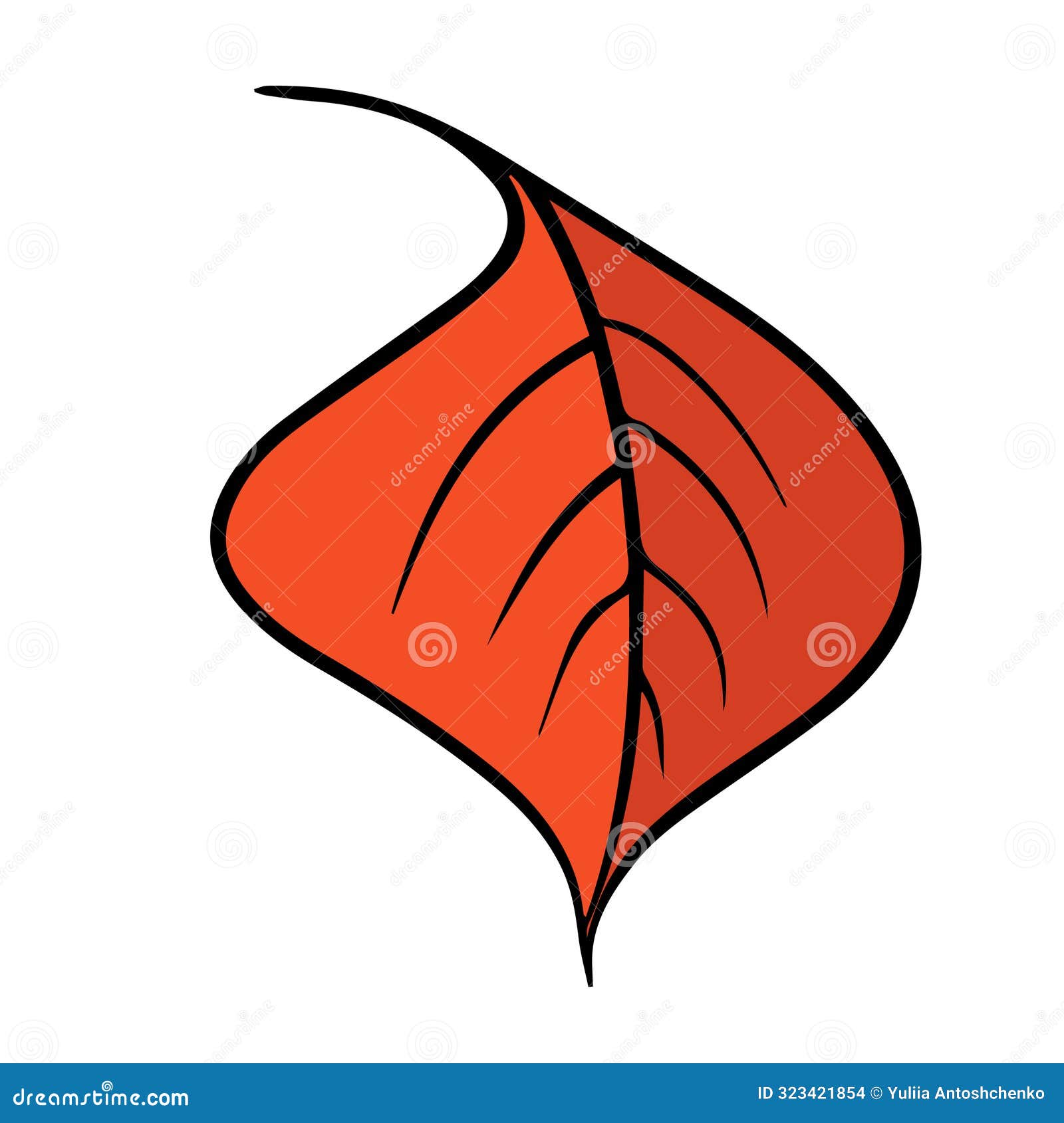 Vector Isolated Illustration of an Autumn Leaf on a White Background ...