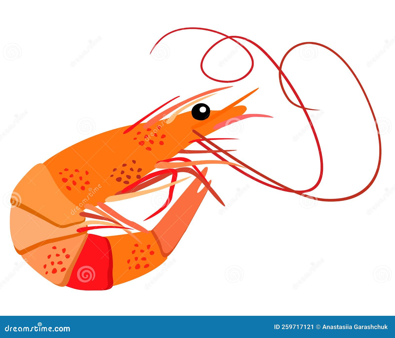 Vector Isolated Illustration of Bright Red Shrimp. Stock Illustration ...