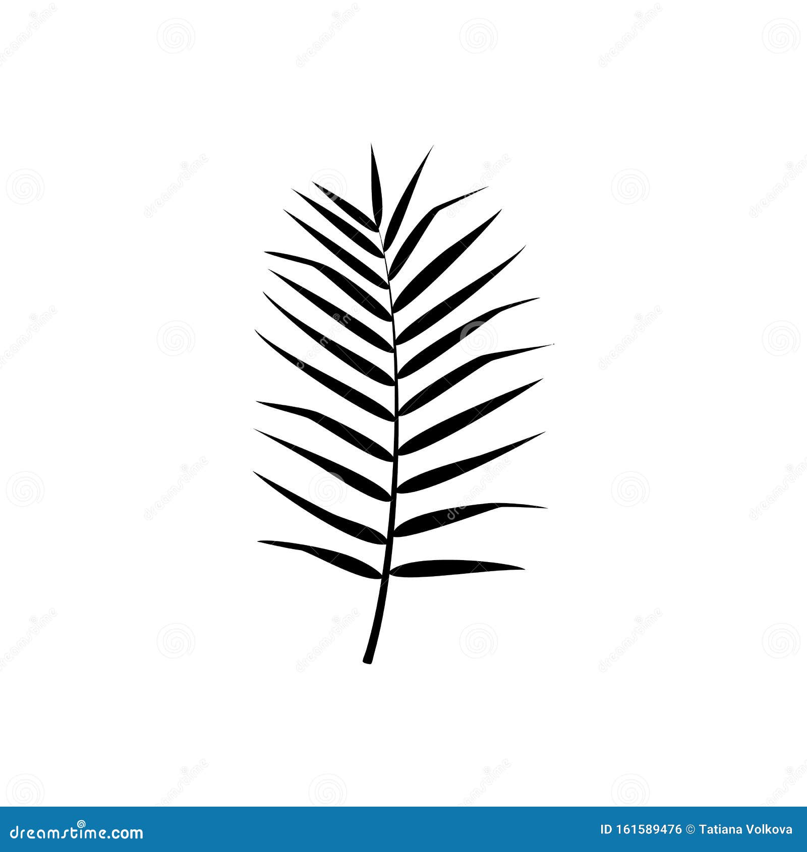 Vector Isolated Illustration. Exotic Palm Leaf Silhouette Stock Vector ... Vector Isolated Illustration. Exotic Palm Leaf Silhouette Stock Vector ...
