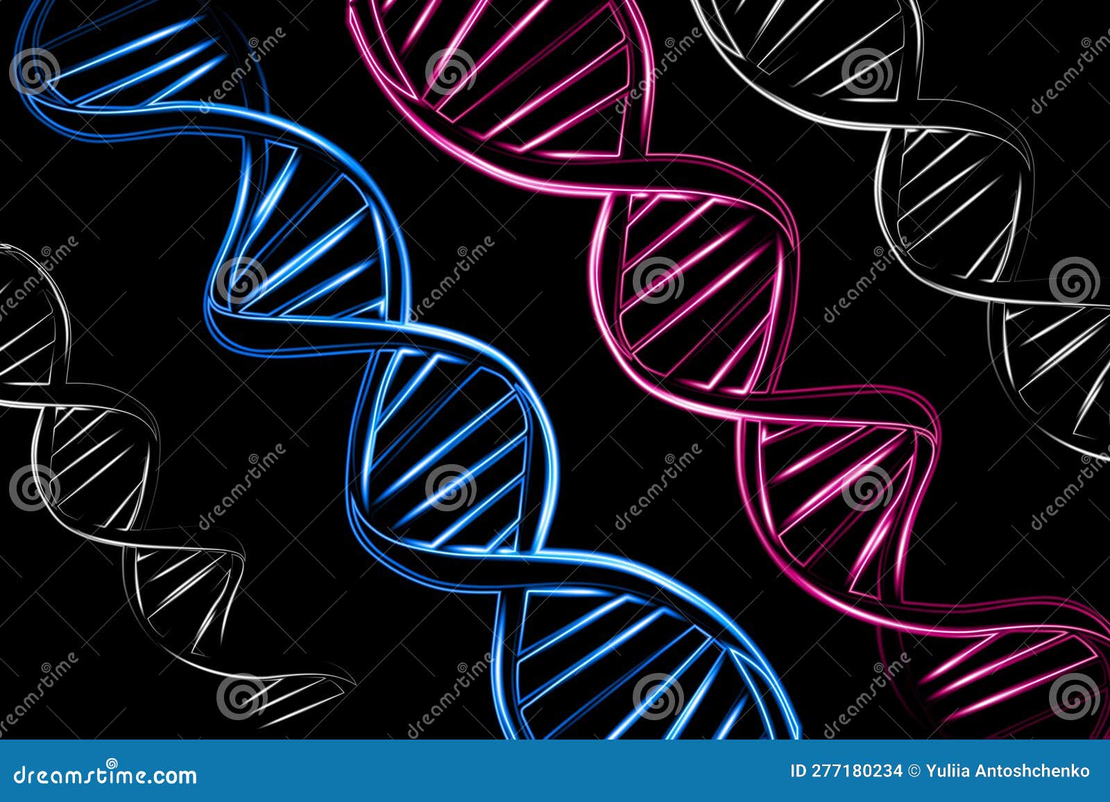 Vector Isolated Illustration of Human DNA. Stock Vector - Illustration ...