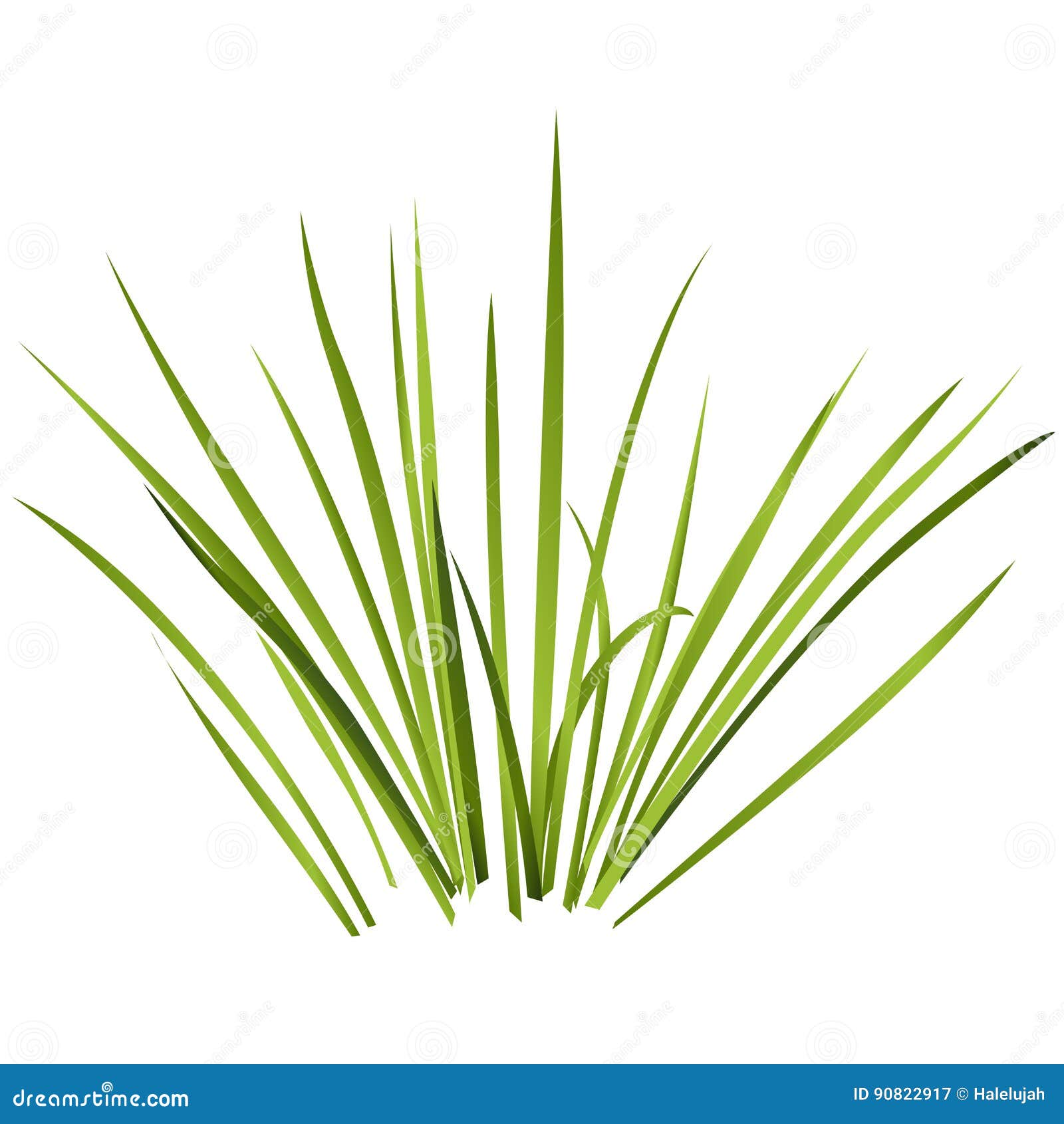 Plants With Different Types Of Root Systems: Tap And Fibrous Root ...
