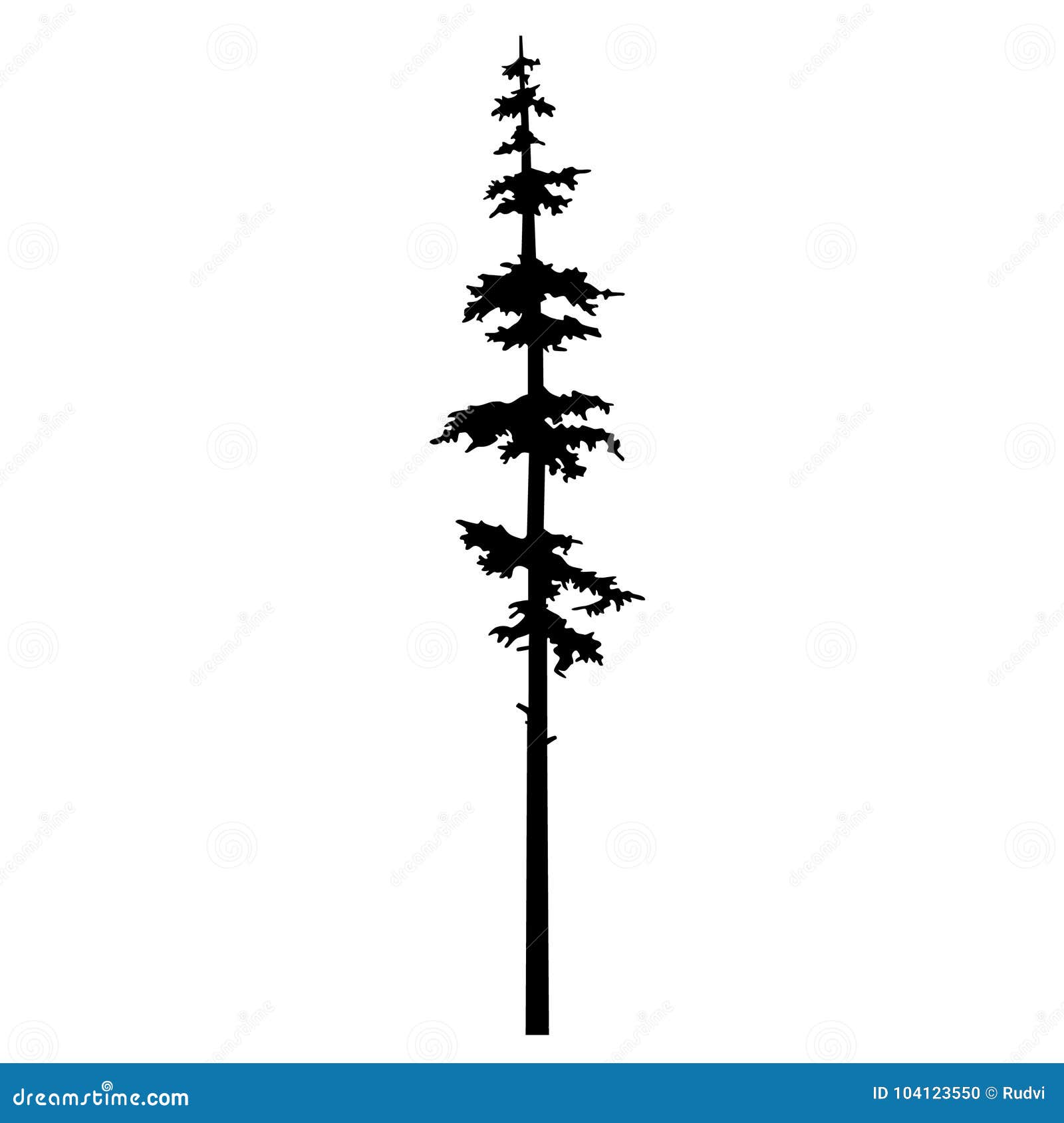Vector Isolated Silhouette of a Coniferous Tree. Stock Vector ...
