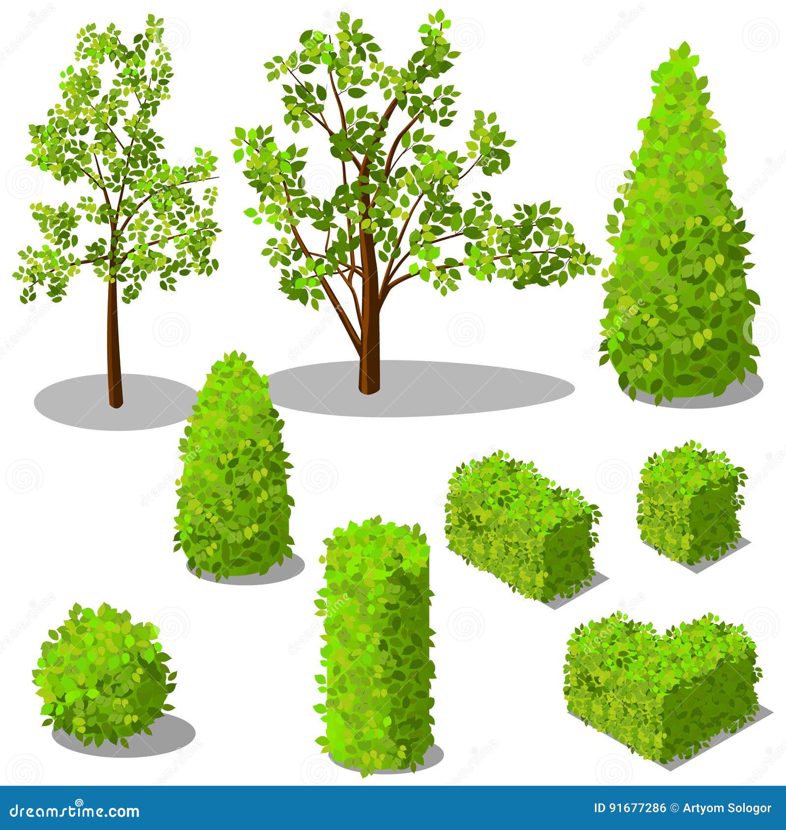 Vector Isometrische Bomen En Decoratieve Struiken Vector Illustratie ...