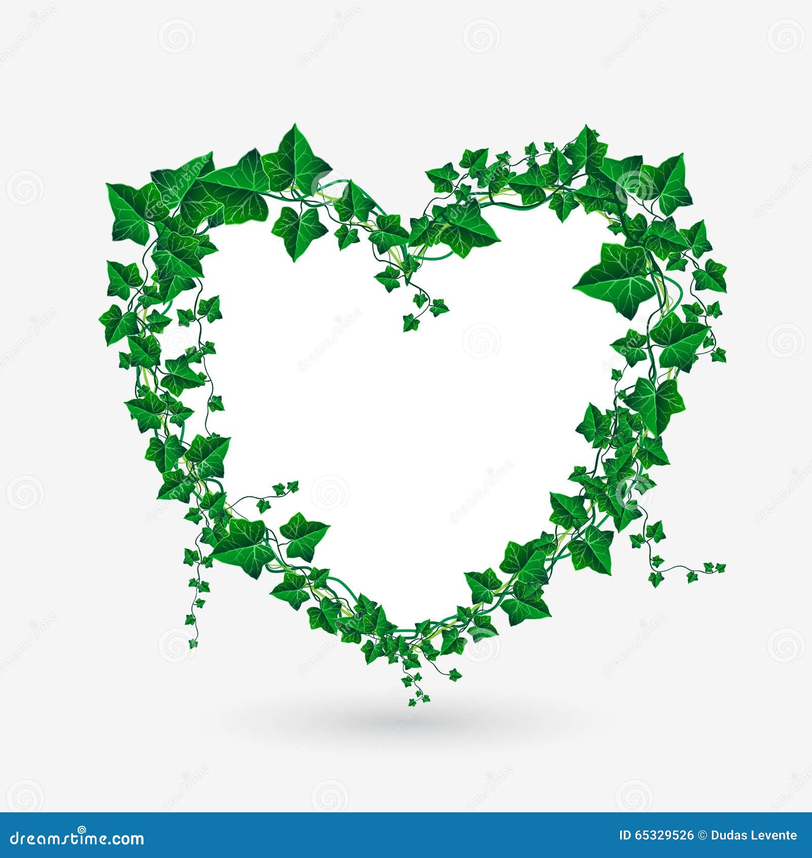 Vector Ivy Branch Heart Illustration | CartoonDealer.com #65329526