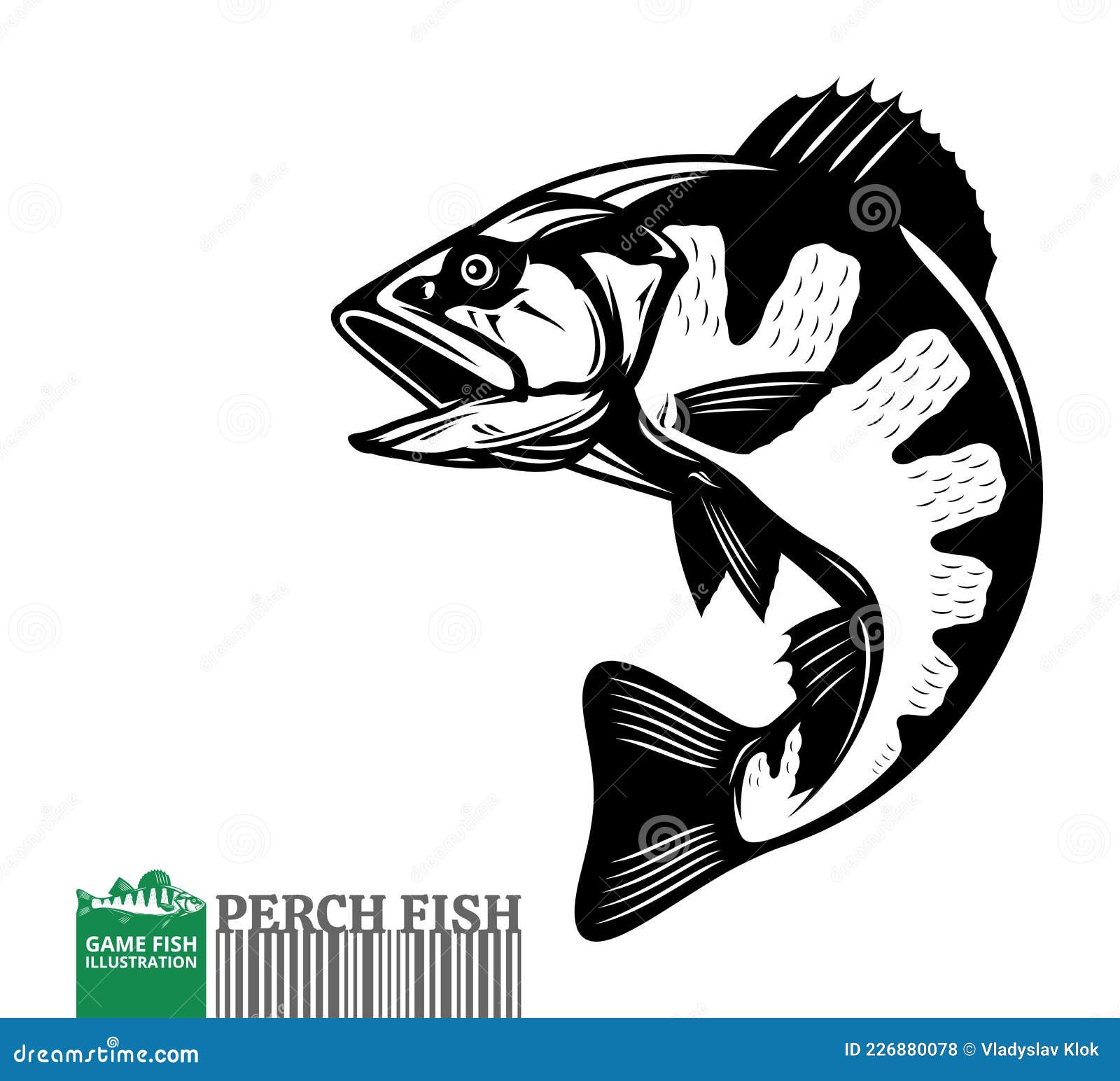 Vector Of Jumping Dolphin On Night Sky With Full Moon On The Background ...