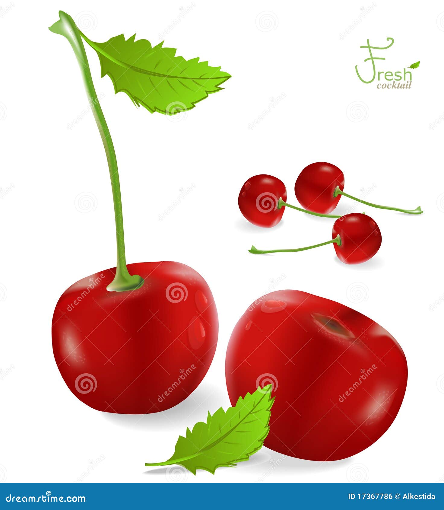 Vector Kersen Op Een Witte Achtergrond Vector Illustratie ...