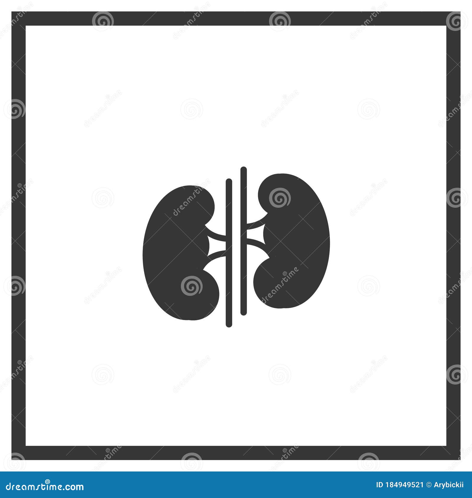 Vector kidney icon stock vector. Illustration of healthy - 184949521