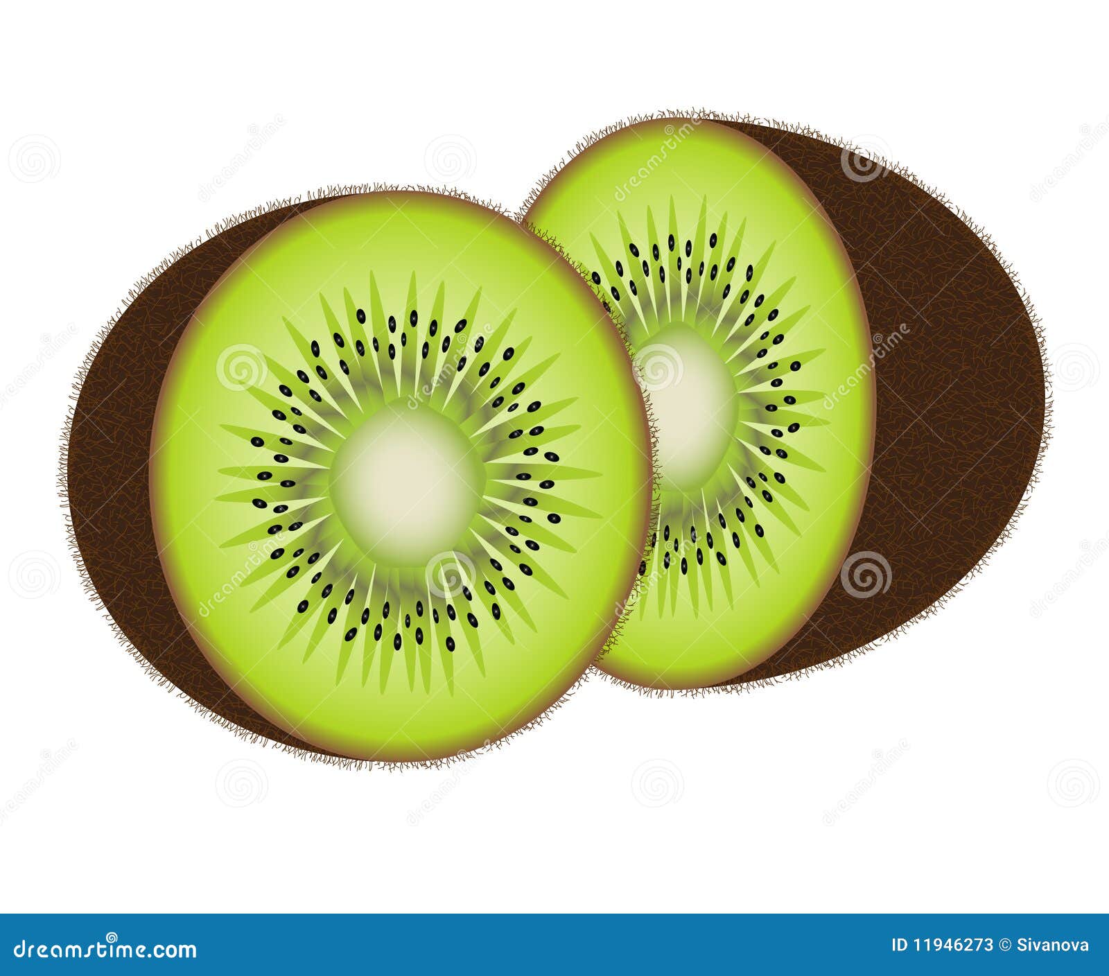 Vector kiwi fruit stock vector. Illustration of nutrition - 11946273