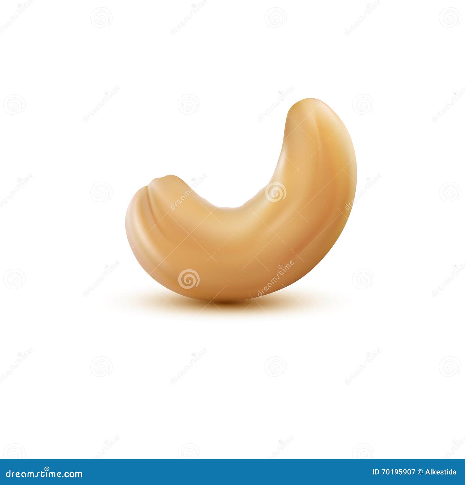 Vector L'anacardio, Uno, Isolato Su Fondo Bianco Illustrazione ...