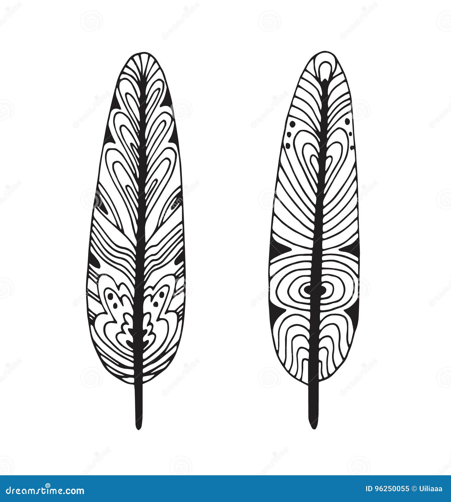 Vector L'illustrazione Delle Piume in Bianco E Nero Isolate Su Bianco ...