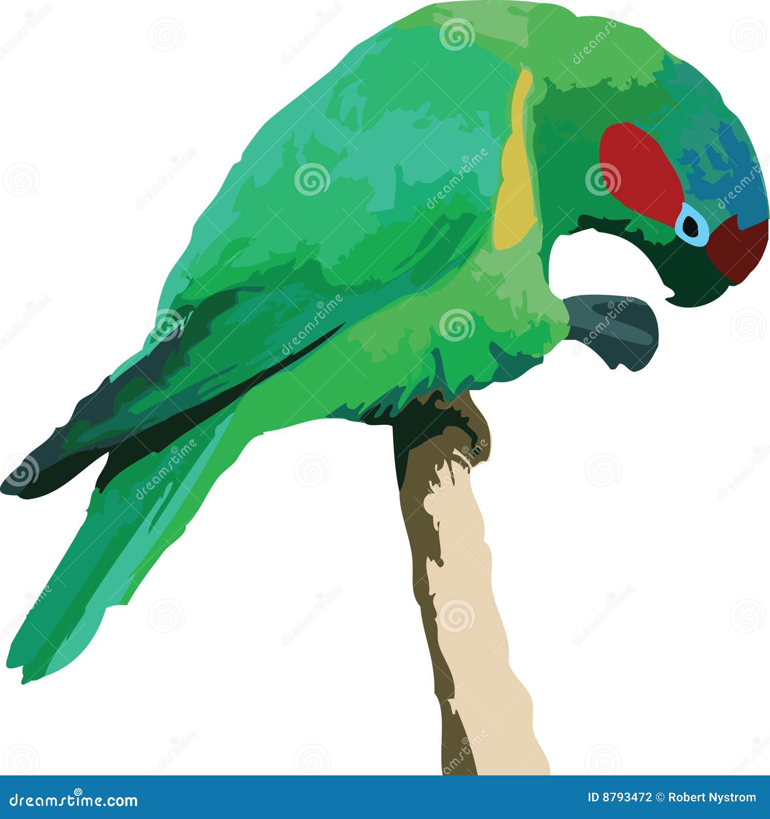 Vector L'illustrazione Di Un Pappagallo Illustrazione Vettoriale ...