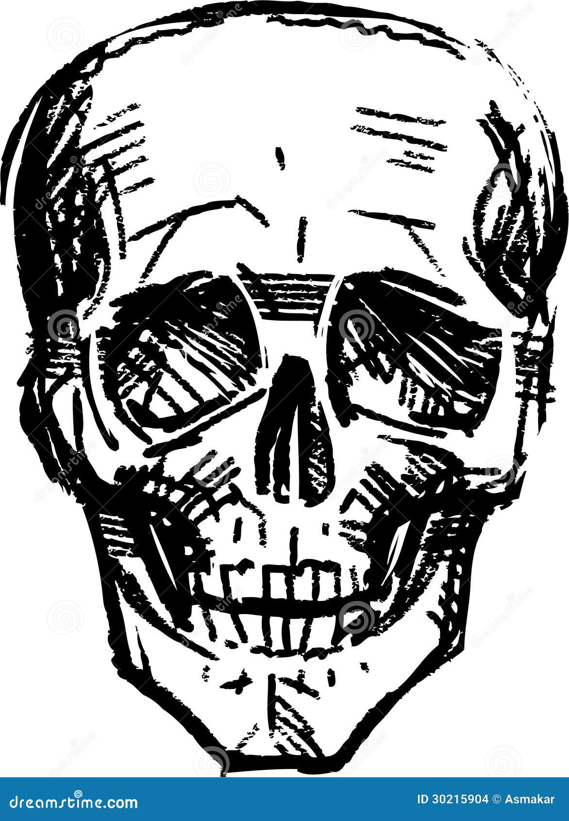 Cranio umano illustrazione vettoriale. Illustrazione di pericolo - 30215904