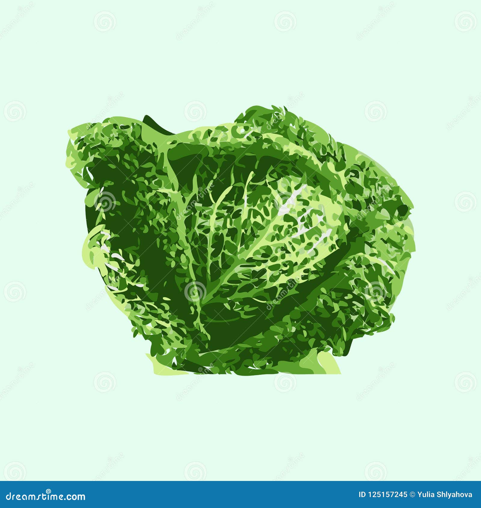 Vector La Imagen Aislada De La Col De Col Rizada Fresca En Estilo Plano ...