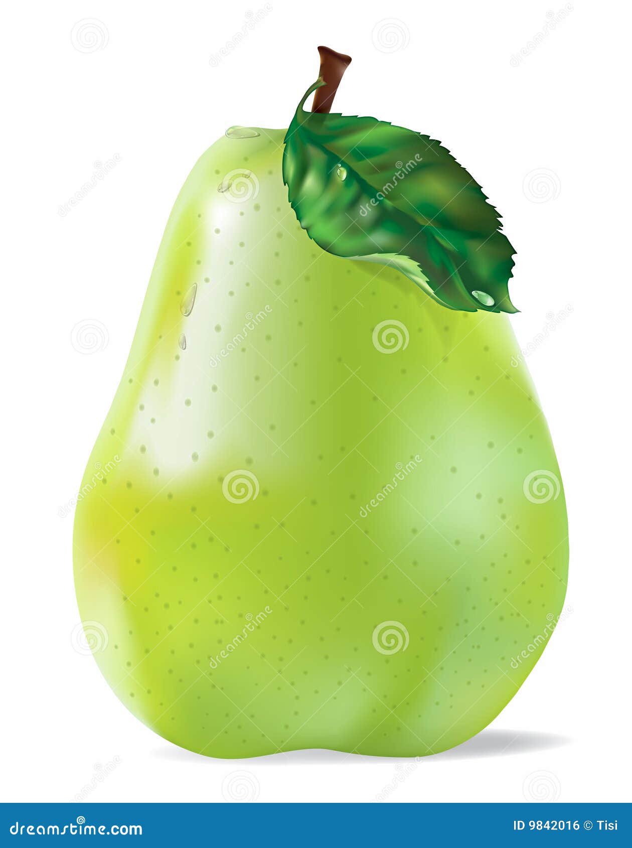 Vector La Pera Verde Con Gotas En Blanco Ilustración del Vector ...