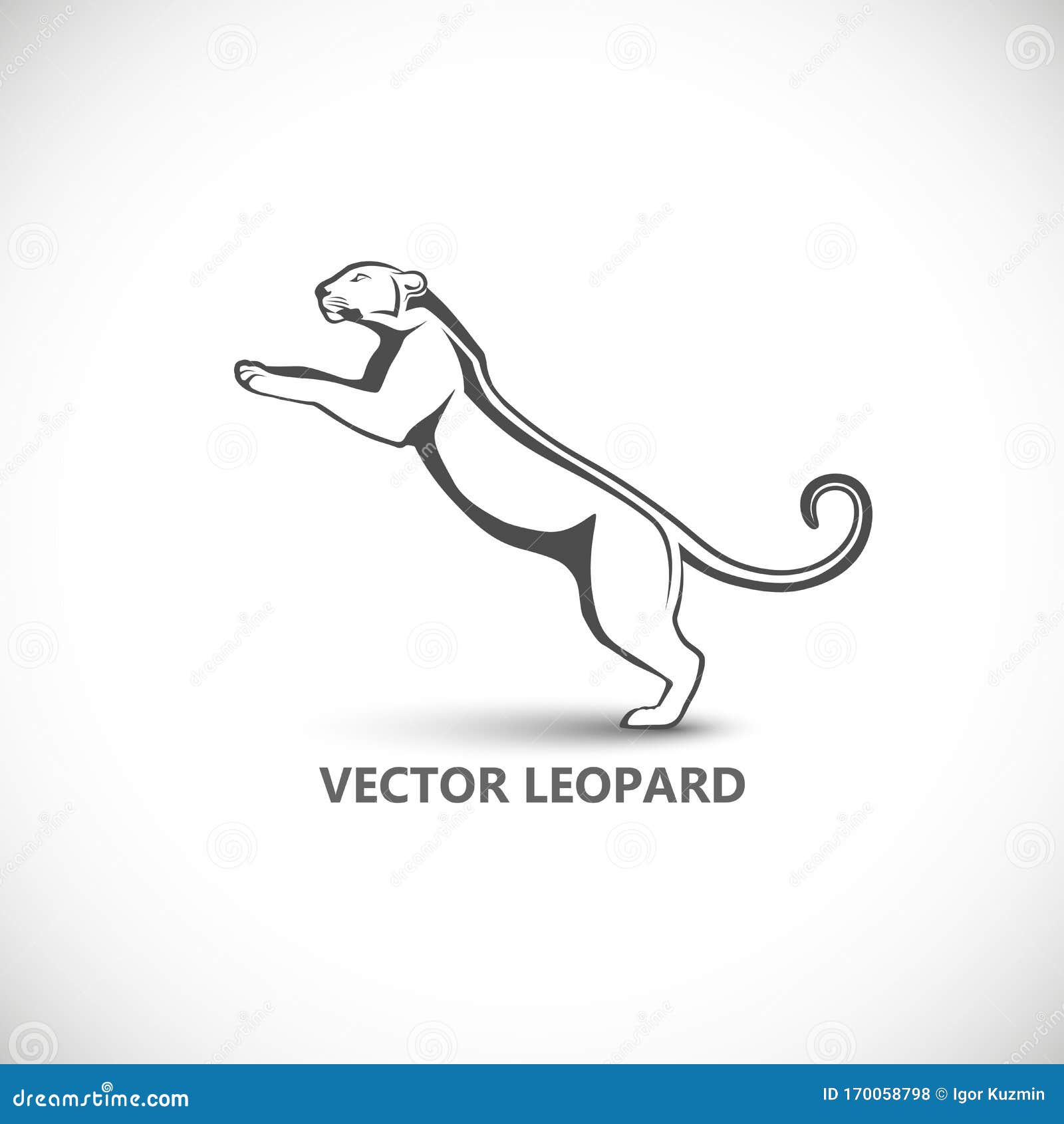 Vector leopard stock vector. Illustration of background - 170058798