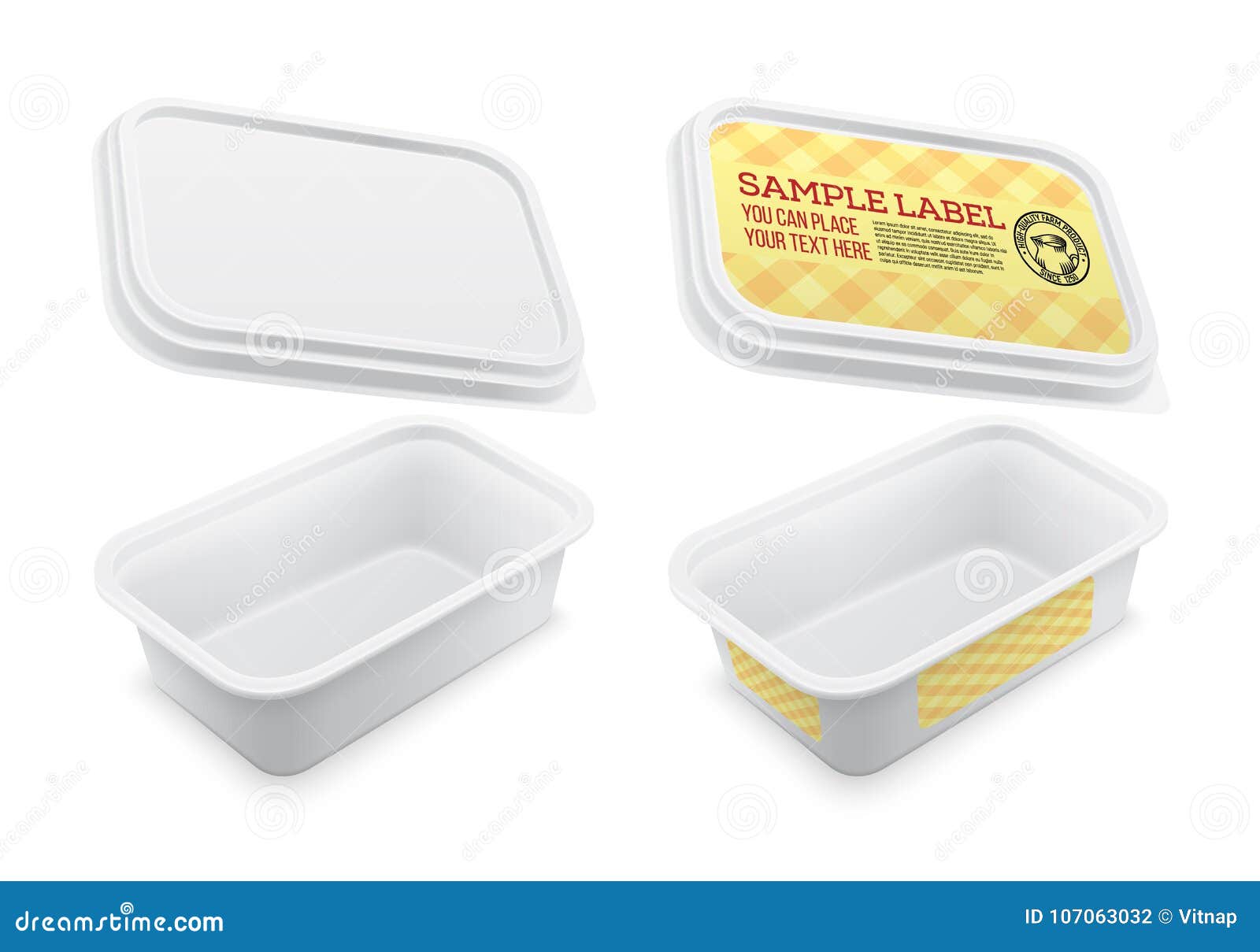 Vector Labeled Square Empty Container. Packaging Template Stock Vector ...