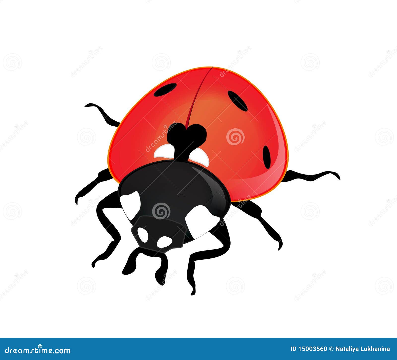 Vector Ladybird Picture. Image: 15003560