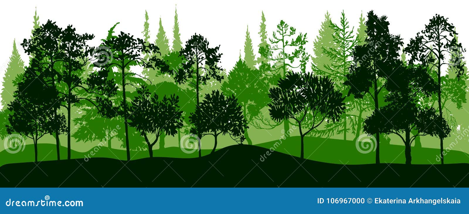 Vector Landscape with Pine Trees Stock Vector - Illustration of ...