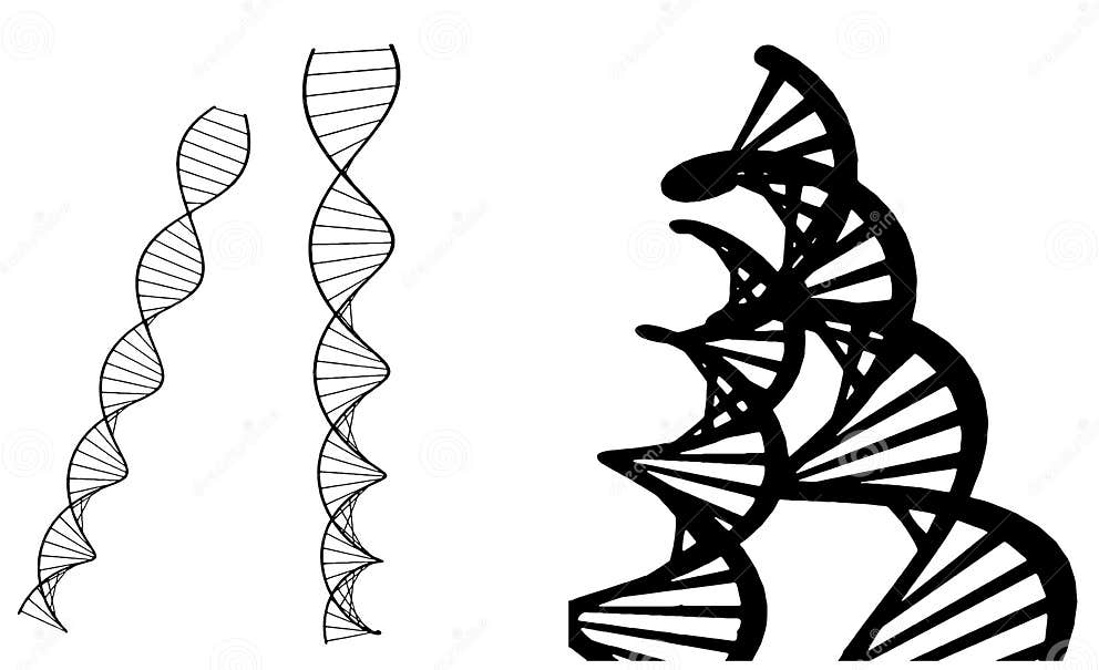 Vector Lattice Dna Chain Illustration 3d Rendering Stock Vector ...