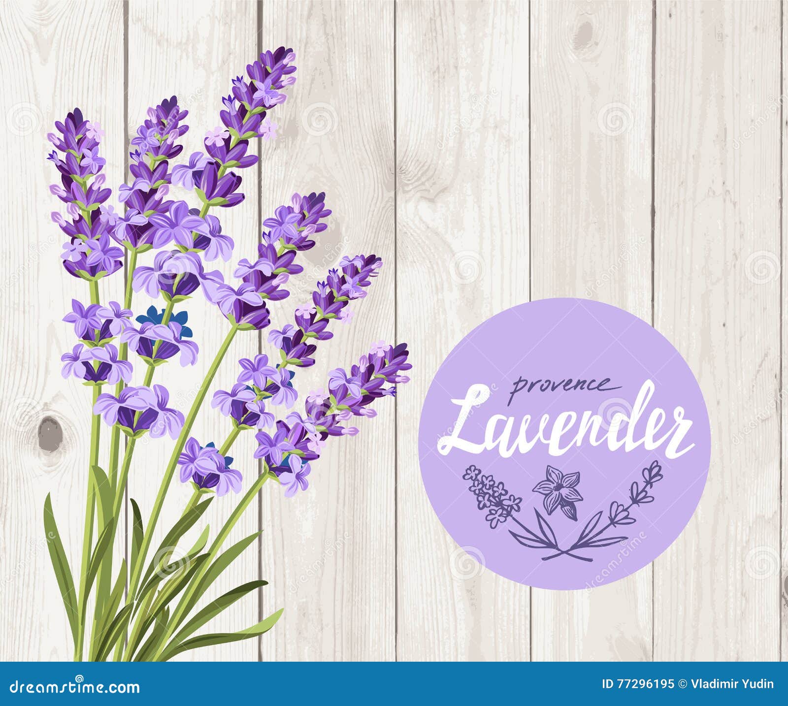 Vector lavender background stock vector. Illustration of lavender ...