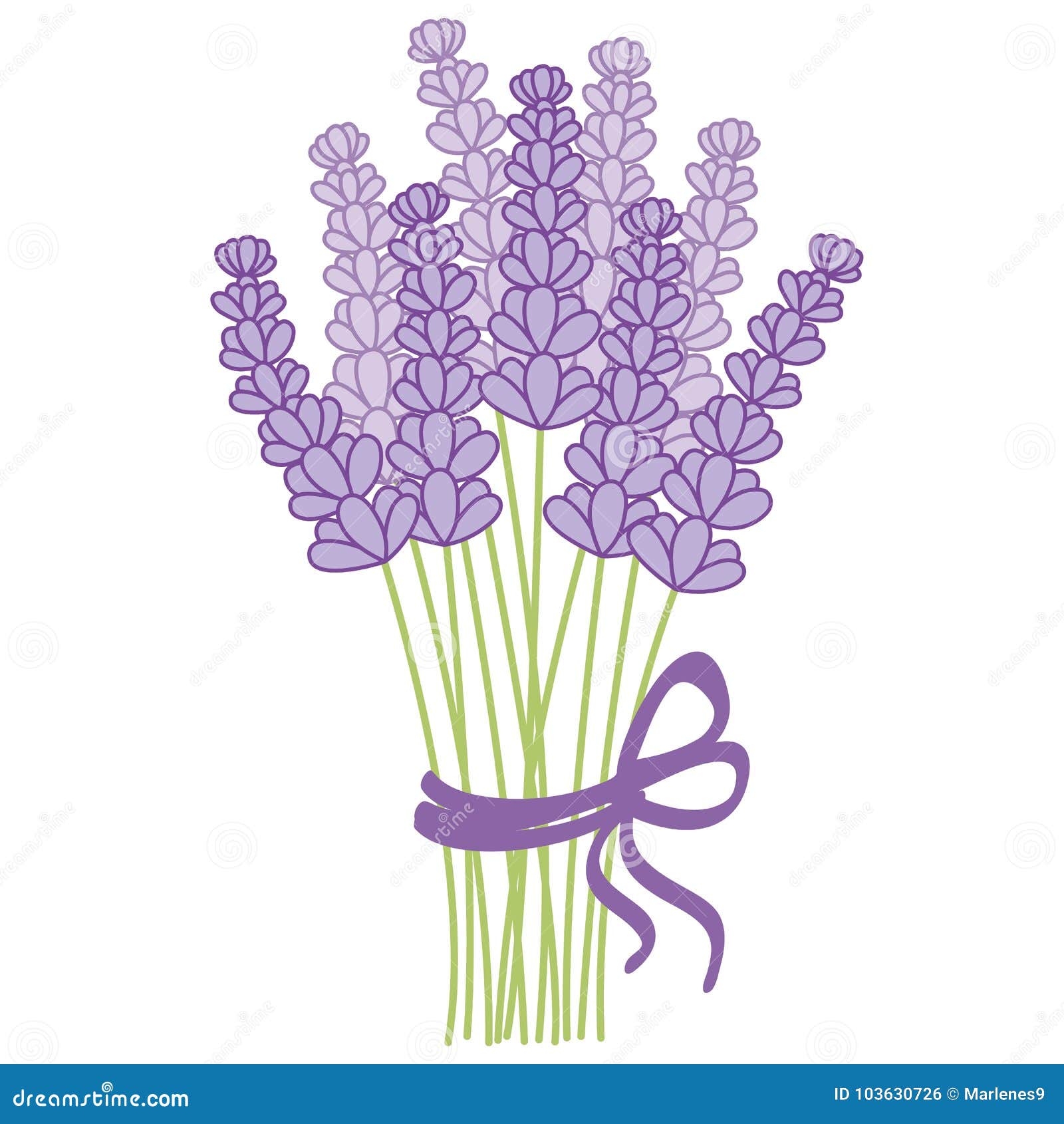 Vector Lavender Bouquet. Vector Lavender Stock Vector - Illustration of ...