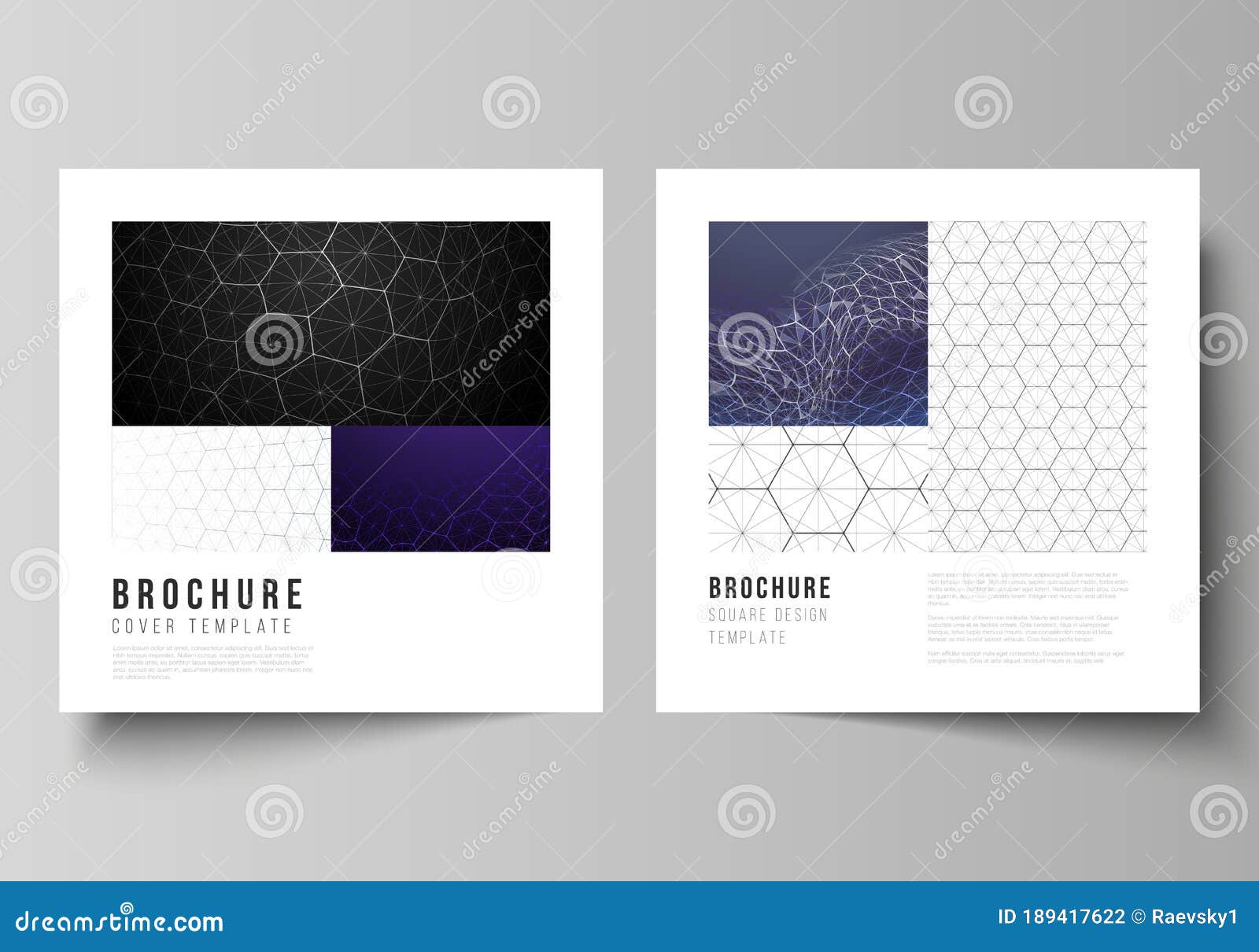 Vector Layout of Two Square Format Covers Design Templates for Brochure ...