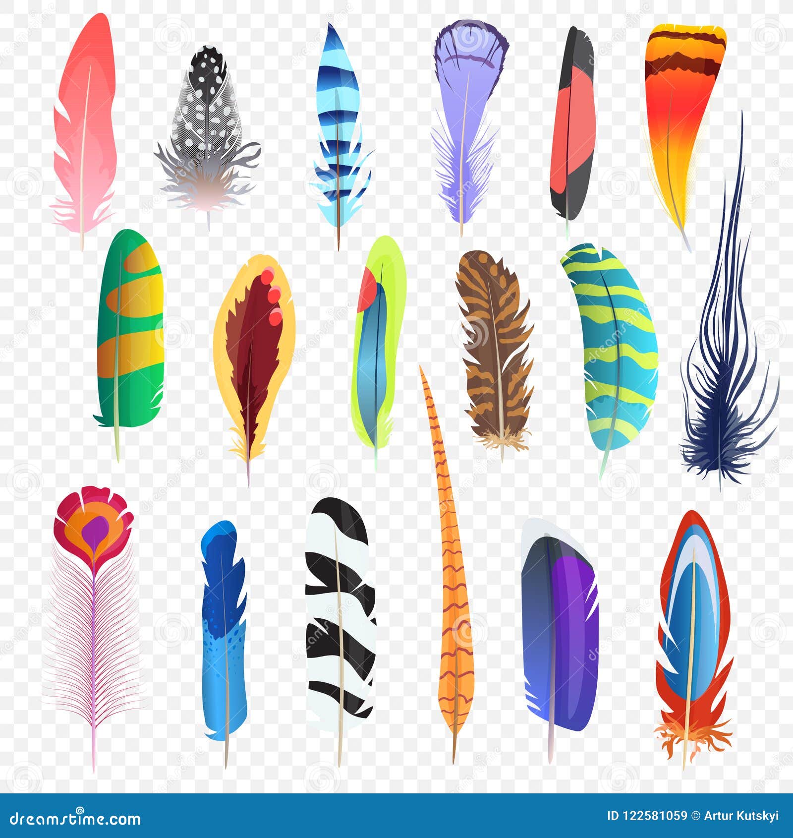 Vector Le Piume Di Uccello Colorate Isolate Sugli Alfa Precedenti ...