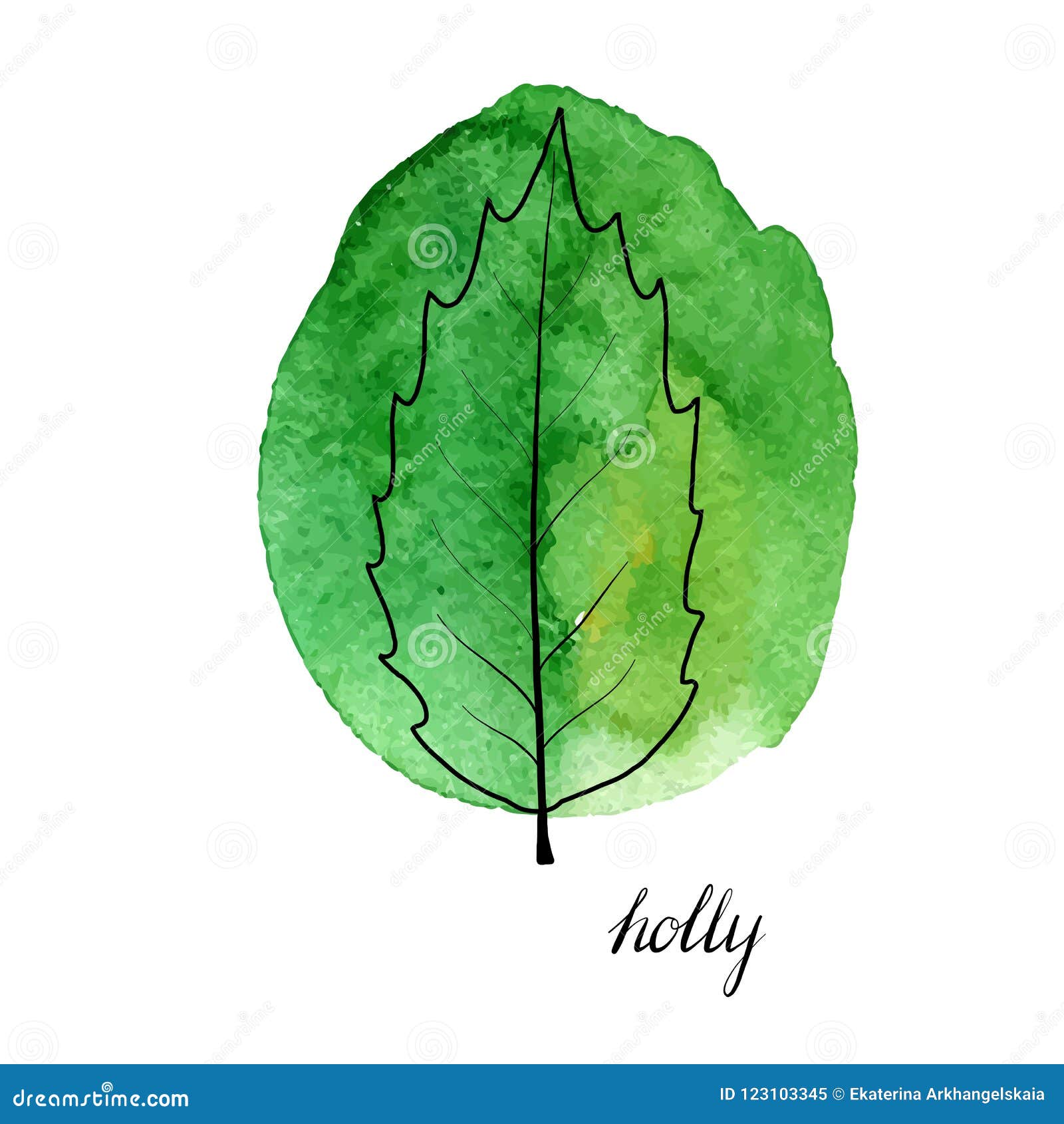 Vector leaf of holly tree stock vector. Illustration of silhouette ...